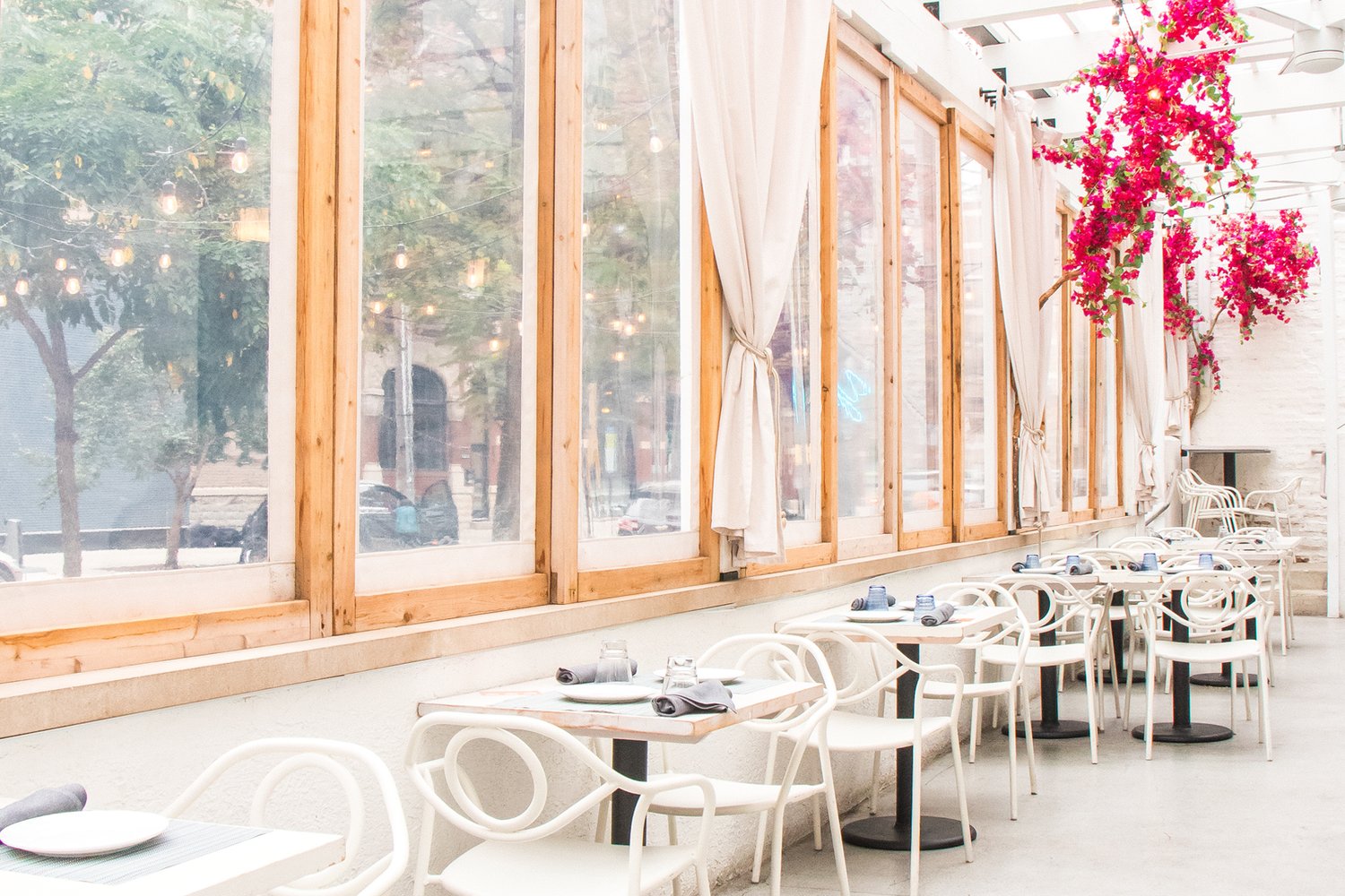 Avli’s Louie Alexakis on Hospitality, Hard Work, and the Rise of Greek ...