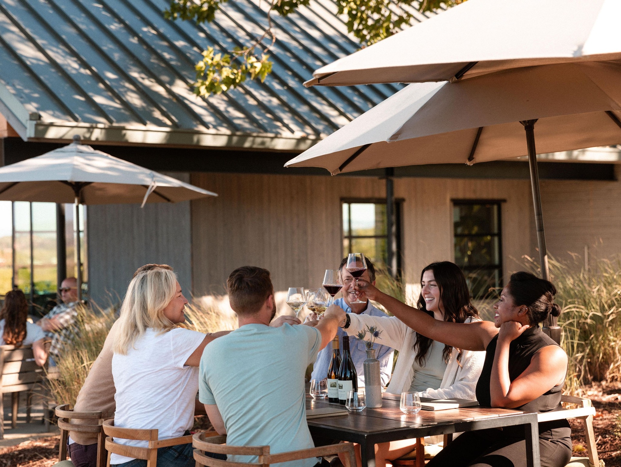 The Wine, Science, and People Behind MacRostie Winery & Vineyards | Tock