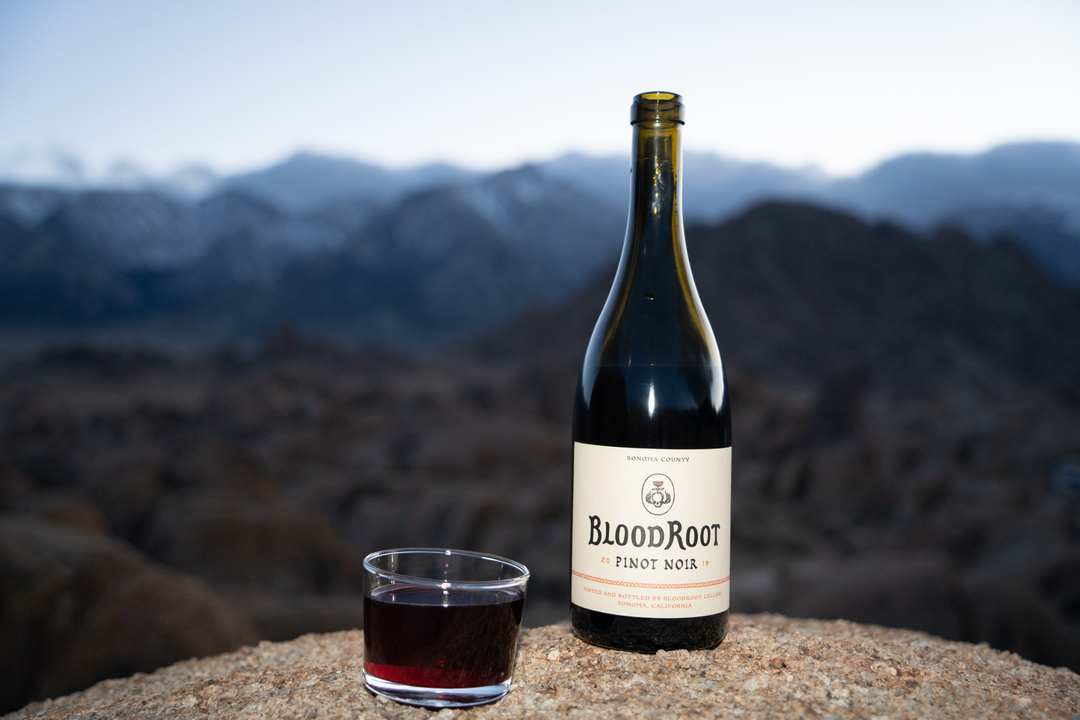 Noah Dorrance Captures the Spirit of California in BloodRoot Wines | Tock