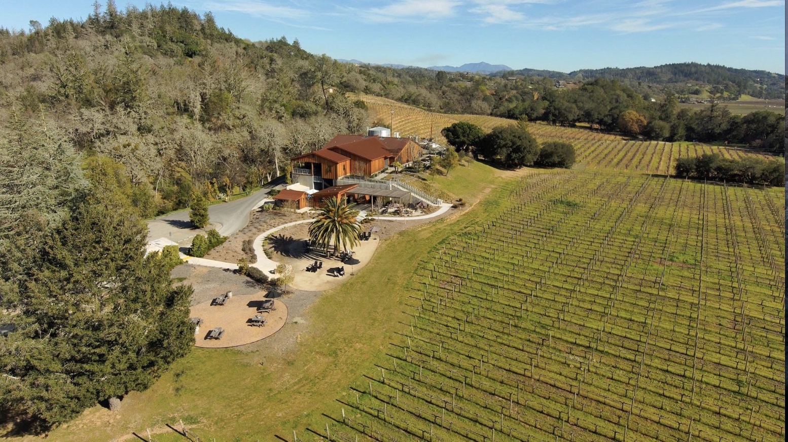 How This Winemaker Handles the Harvest at CAST Wines | Tock